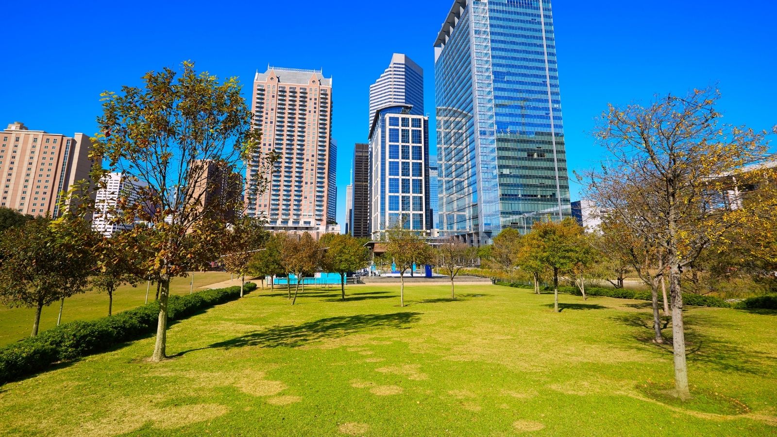 7 Best Things to Do in Houston’s Museum District - HTX Premier Living